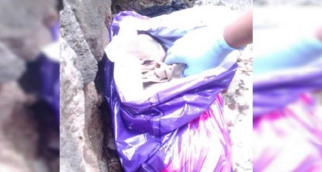 Bebé hallado muerto en Chapultepec fue estrangulado - Diario Basta!