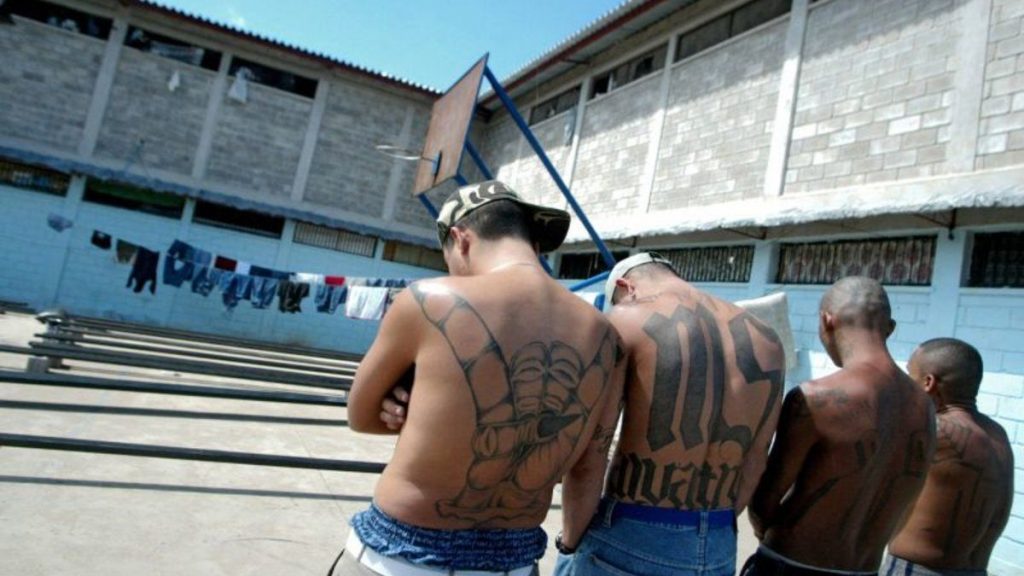 Integrantes de Mara Salvatrucha buscan refugio en México – Diario Basta!