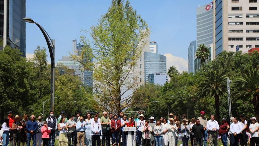 En el Día del Medio Ambiente, piden renombrar Glorieta del Ahuehuete ...