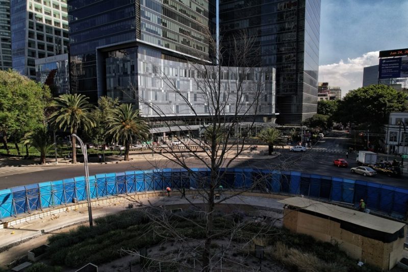 Definirán el destino del ahuehuete de Reforma – Diario Basta!