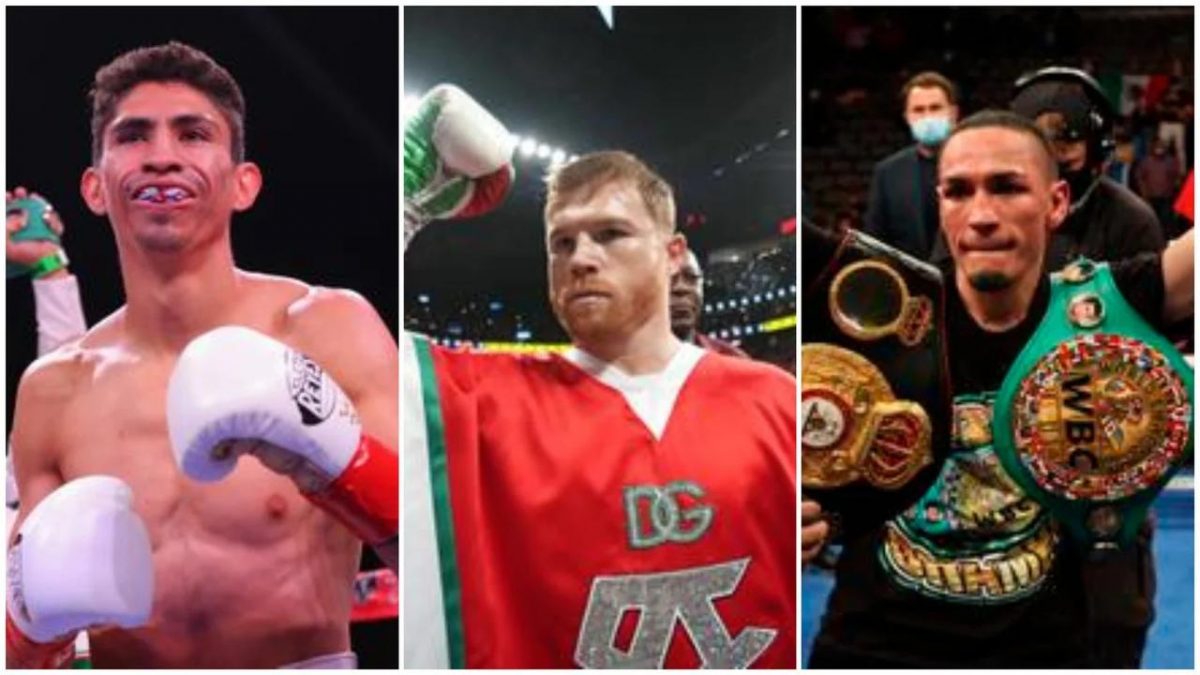 2023 inicia con 7 boxeadores mexicanos con título mundial – Diario Basta!