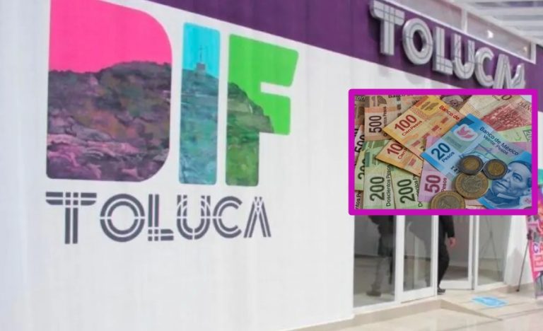 DIF Toluca gasta 207 millones de pesos por año – Diario Basta!