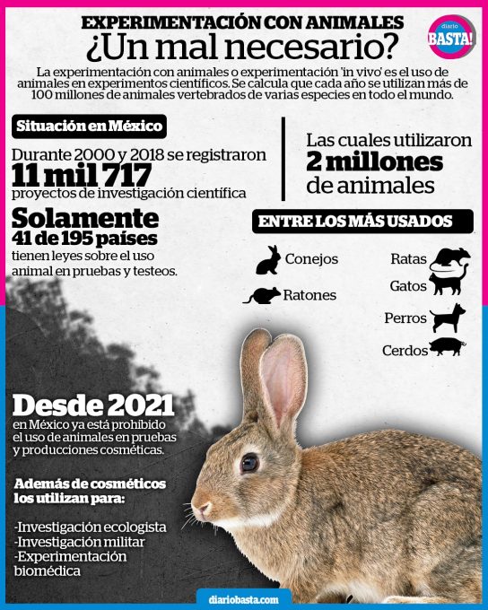 México a dos años de la prohibición de la experimentación con animales ...