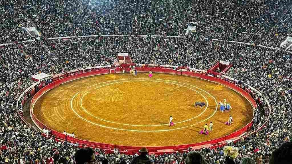 Regresa SCJN las corridas de toros a la CDMX – Diario Basta!