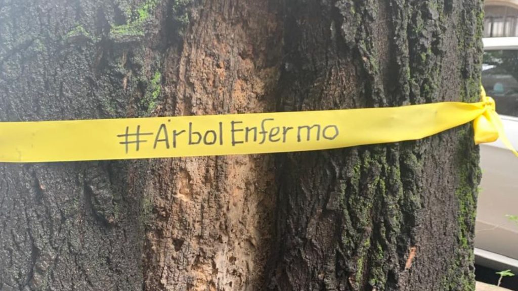 Polanco, casa de árboles enfermos – Diario Basta!