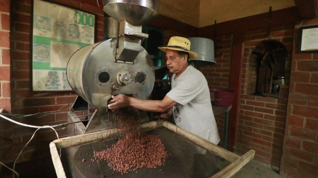 Café de Temascaltepec se exportará a Japón – Diario Basta!