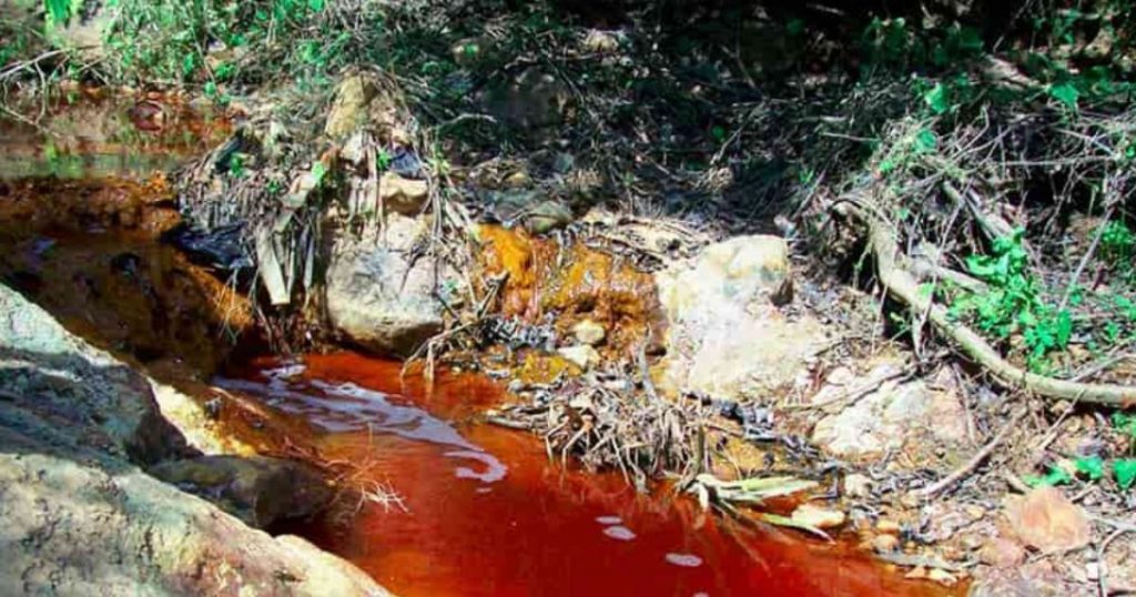 Daño ambiental... Ecocidio con permiso – Diario Basta!